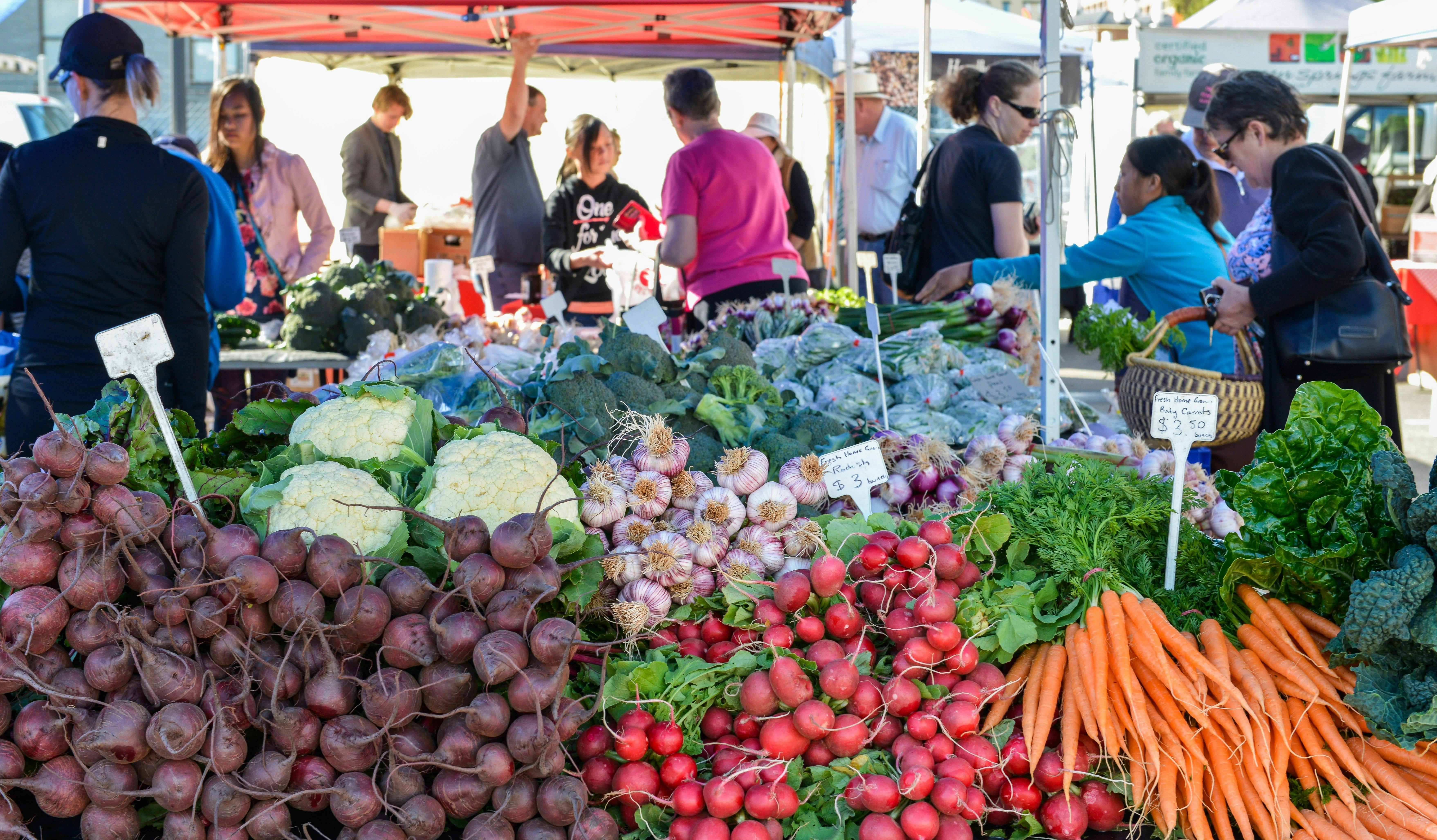 Harvest Launceston Community Farmers' Market, Launceston | What's On ...