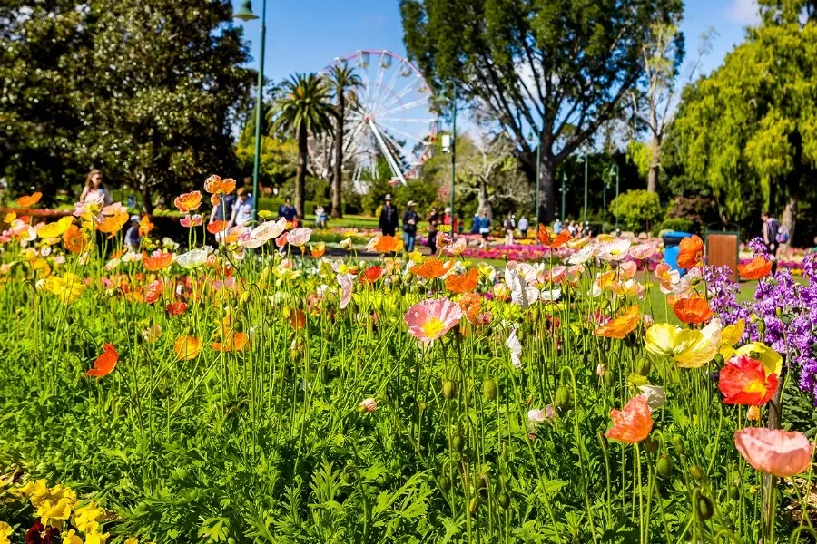 Parks and Gardens | Visit Toowoomba Region